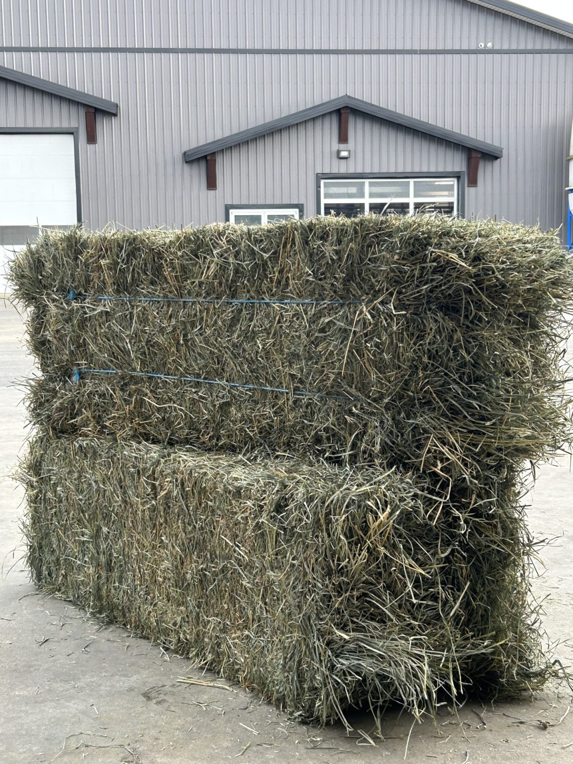 Orchard / Alfalfa Hay Mix - Shop High-Quality Hay in Langley